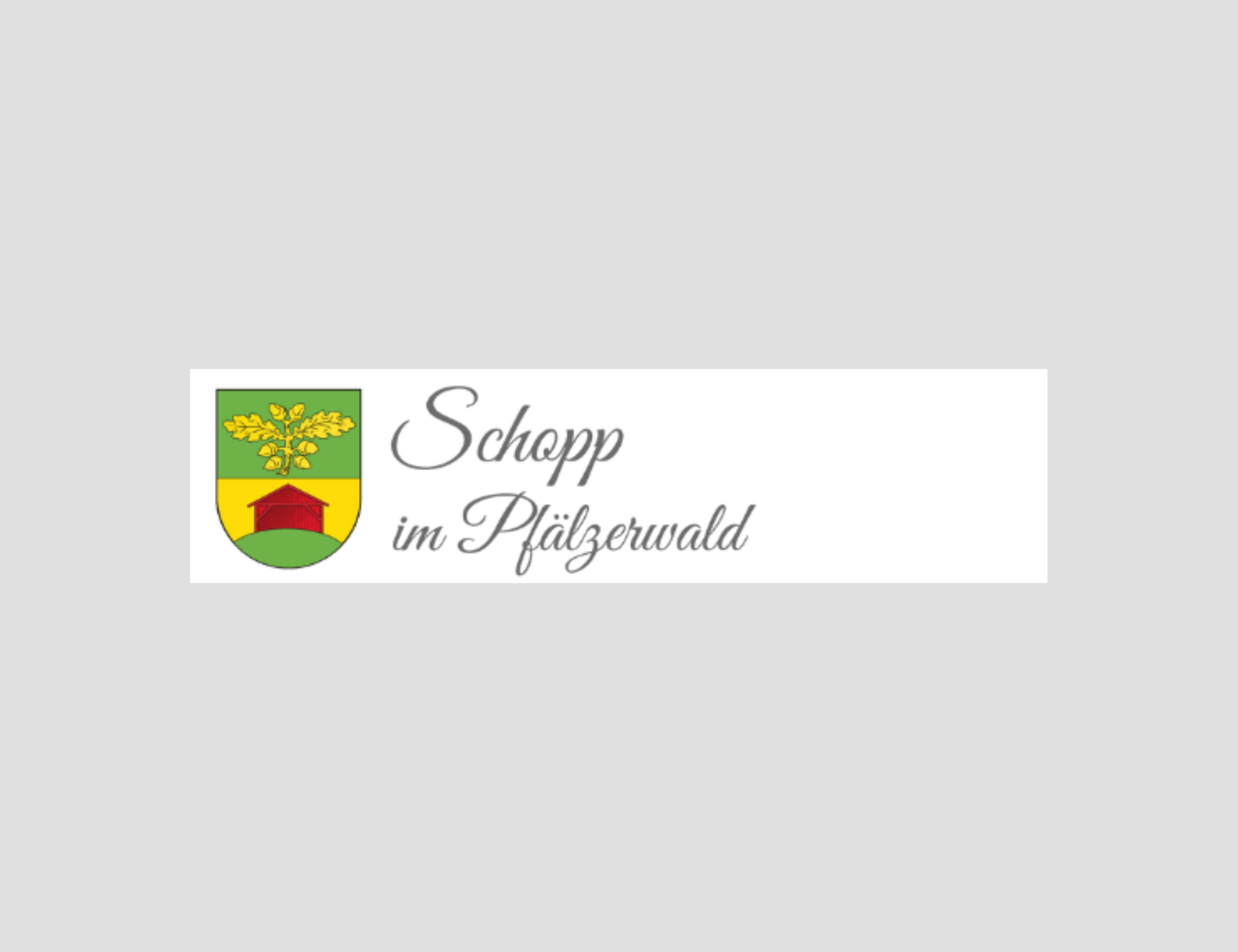 Schopp | Aktuelle Nachrichten und Informationen